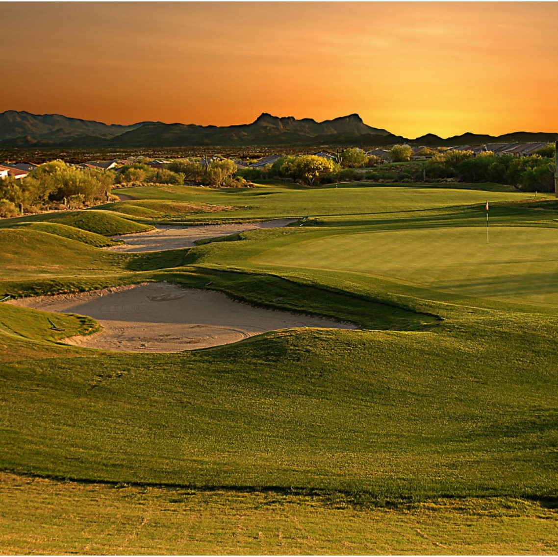 Native Turf Seed | Texas Native Lawn Seed