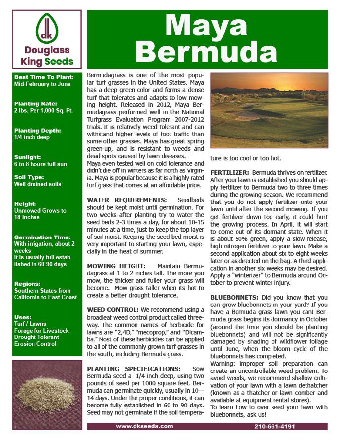 Information About Texas Seeds | Douglass King Seeds