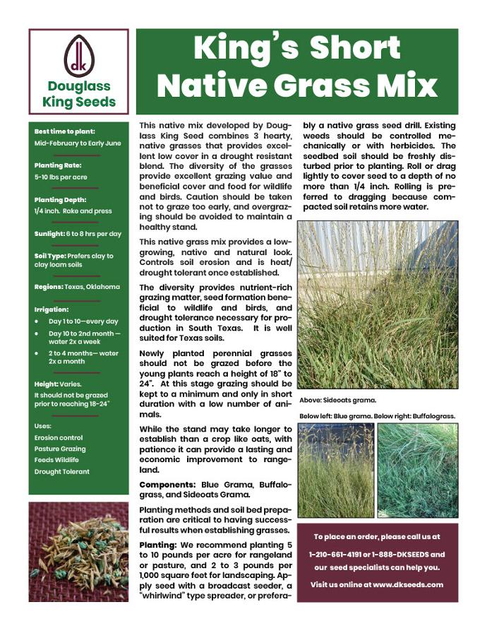 Information About Texas Seeds | Douglass King Seeds