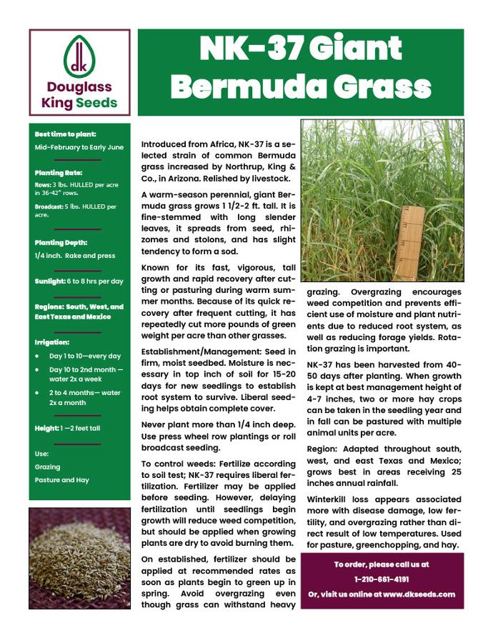 Information About Texas Seeds | Douglass King Seeds