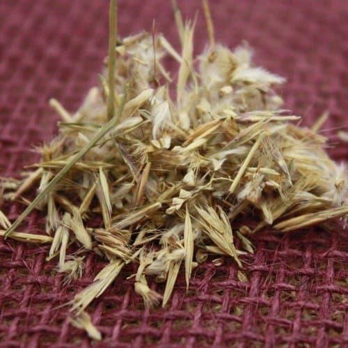 Texas Native Seeds | Texas Native Grasses, Flowers & More