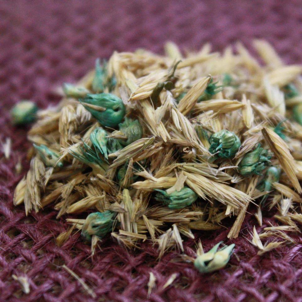 Texas Native Seeds | Texas Native Grasses, Flowers & More