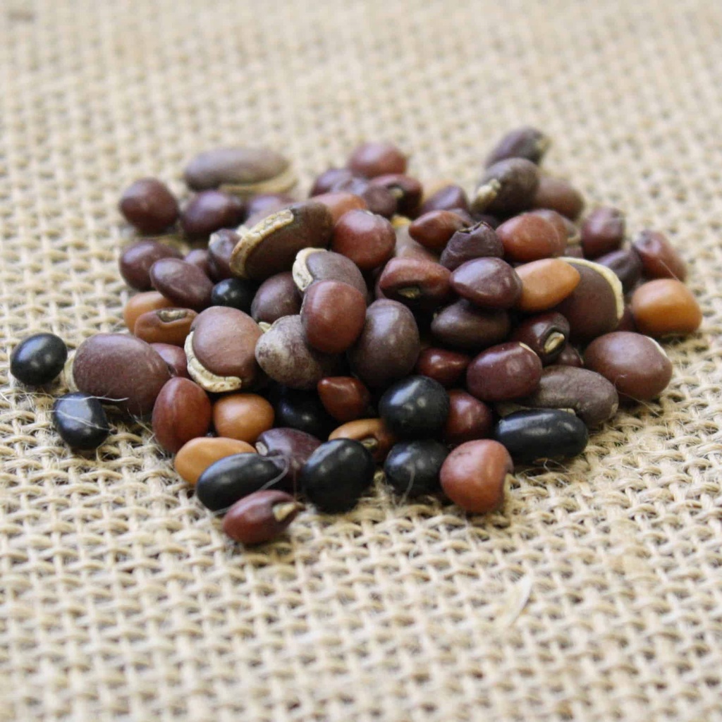 KING'S SPRING LEGUME MIX | Douglass King Seeds