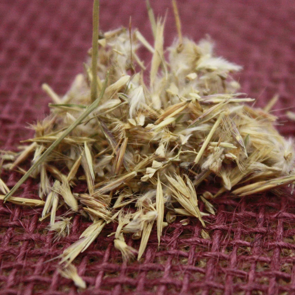 SOUTH TEXAS NATIVE GRASS SEED MIX | Douglass King Seeds