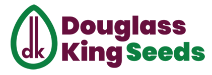 Native Turf Seed | Douglass King Seeds